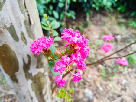 热榜 360 - TopTrend360